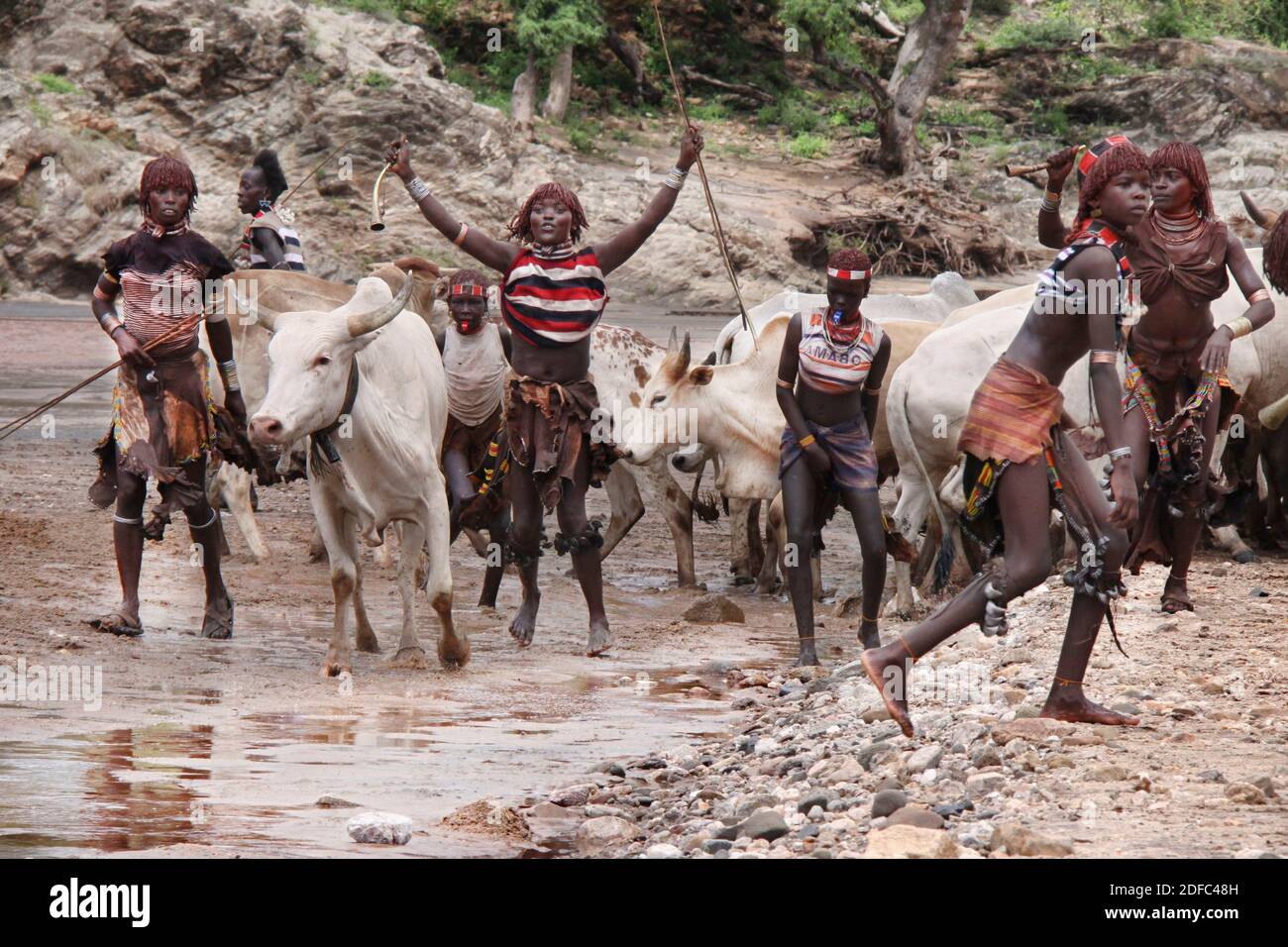 Ethiopia, group of Hamer women during the bull jumping ceremony (Ukuli ...