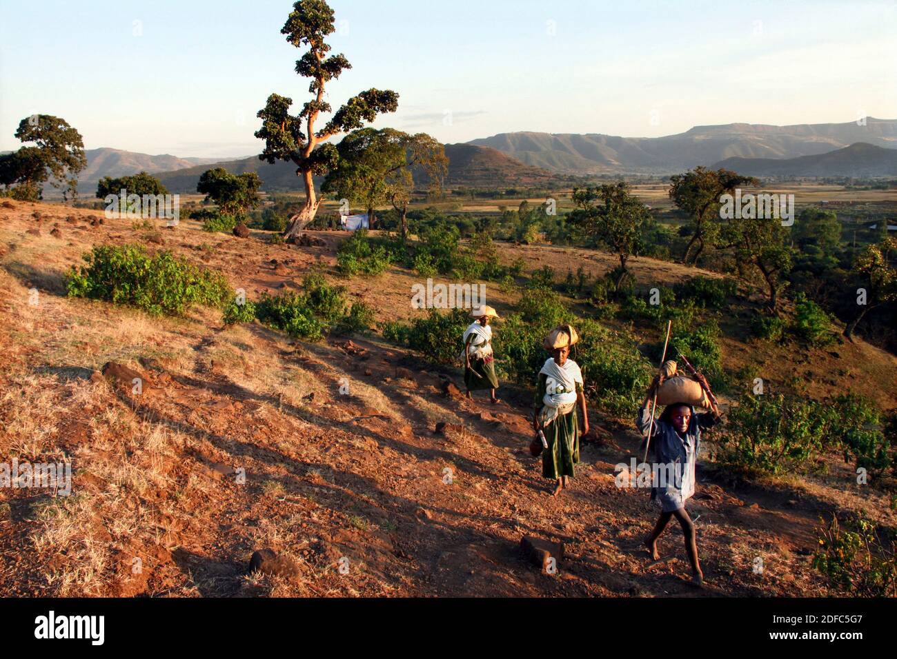 Ethiopia, nature in the north, typical landscape, people walking in the ...