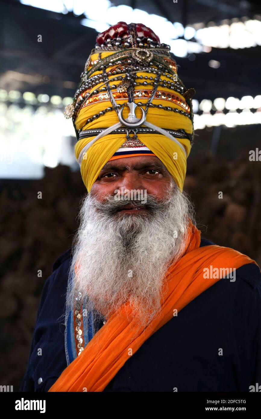 India, Punjab, Amritsar, holy Sikh man in the golden temple Harmandir ...