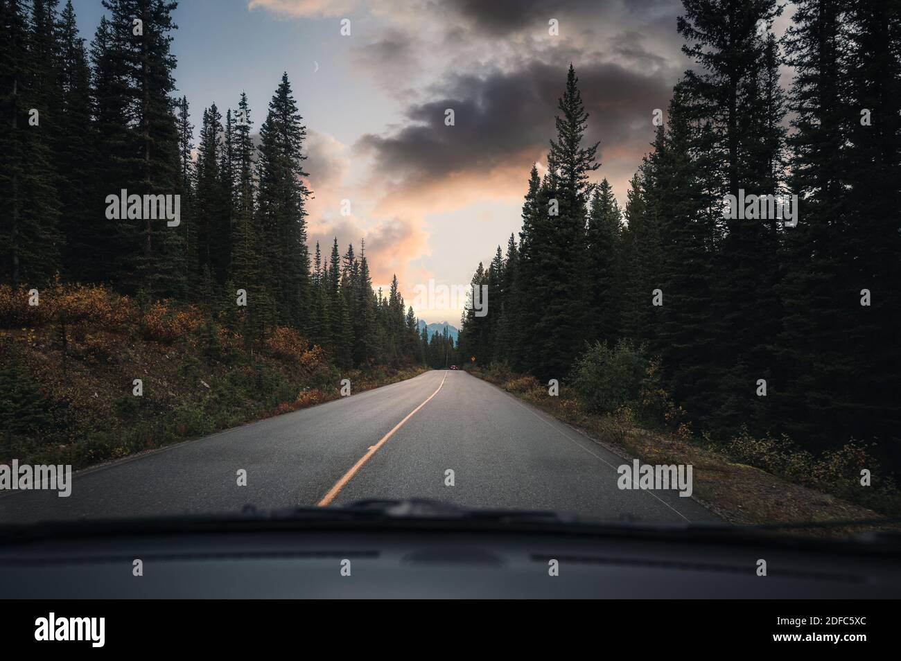 Road trip car driving on highway in pine forest on evening at Banff ...