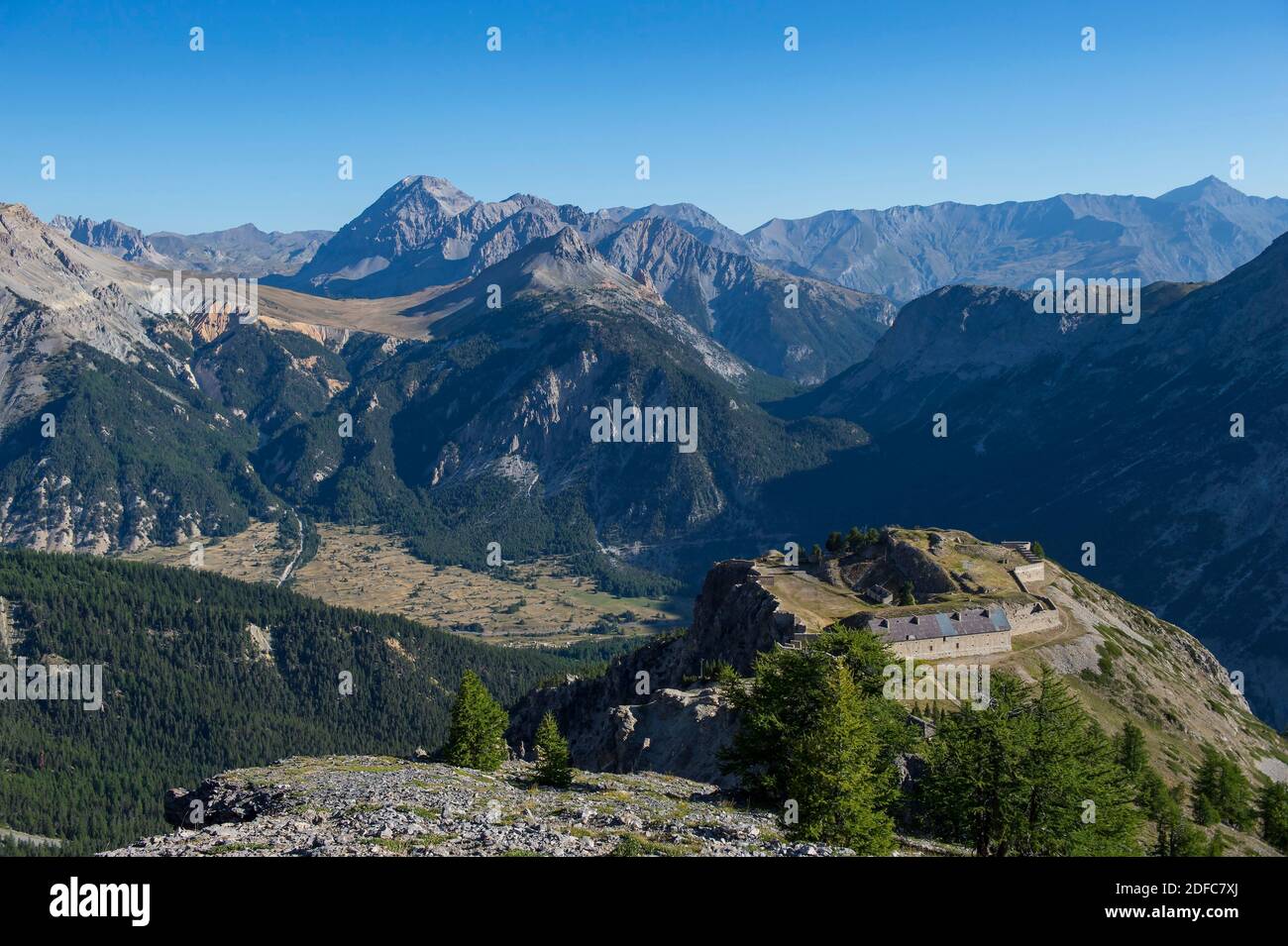 France, High Alps, Cerces Massif, Briancon, Nevache, Granon Pass, Olive ...