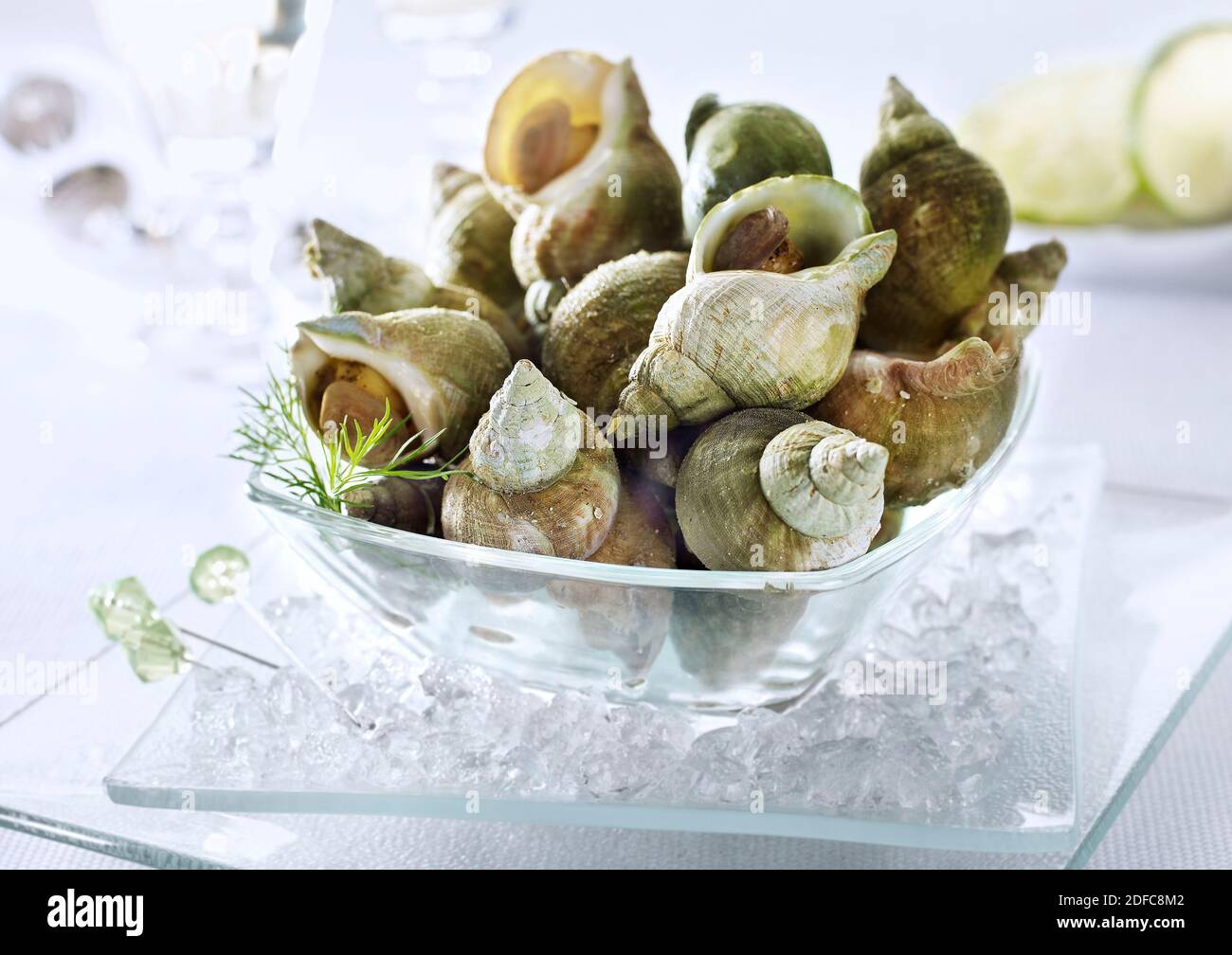 Cooked whelks hi-res stock photography and images - Alamy