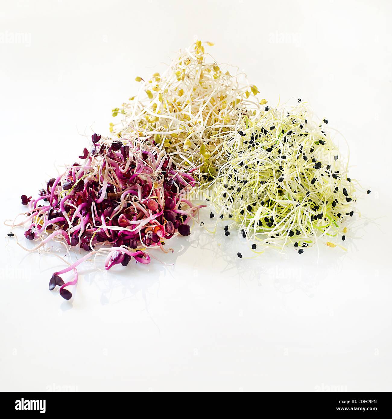 Germinated seed hi-res stock photography and images - Alamy