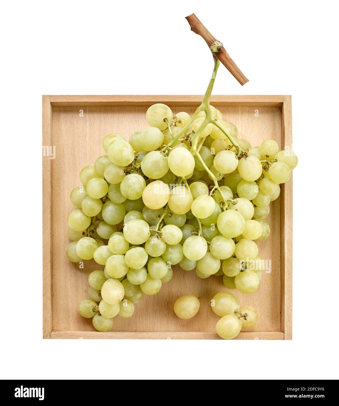 Grapes from italy hi-res stock photography and images - Alamy
