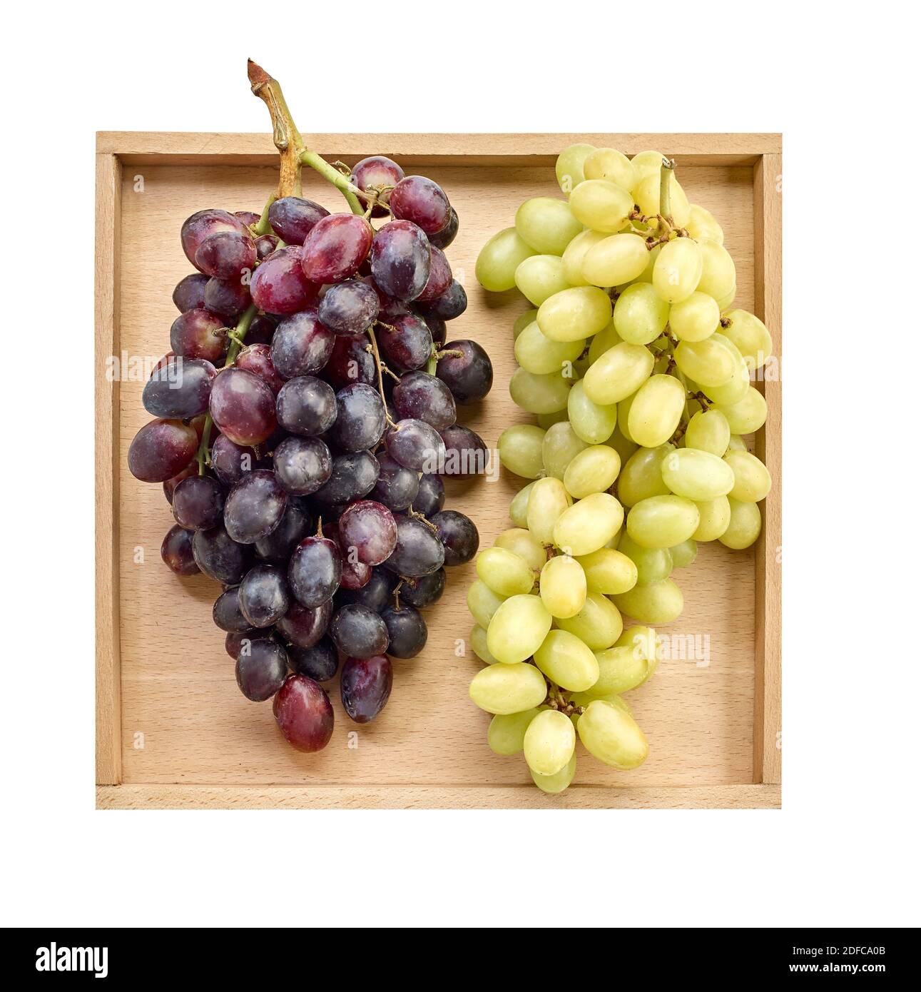 Seedless white and black duo grapes Stock Photo - Alamy