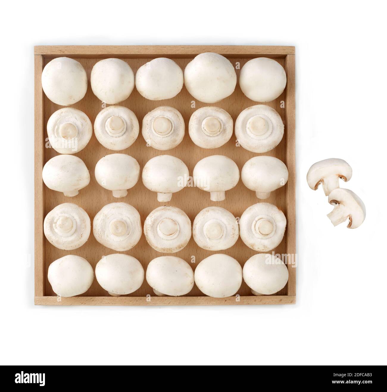 Mushrooms of Paris Stock Photo - Alamy