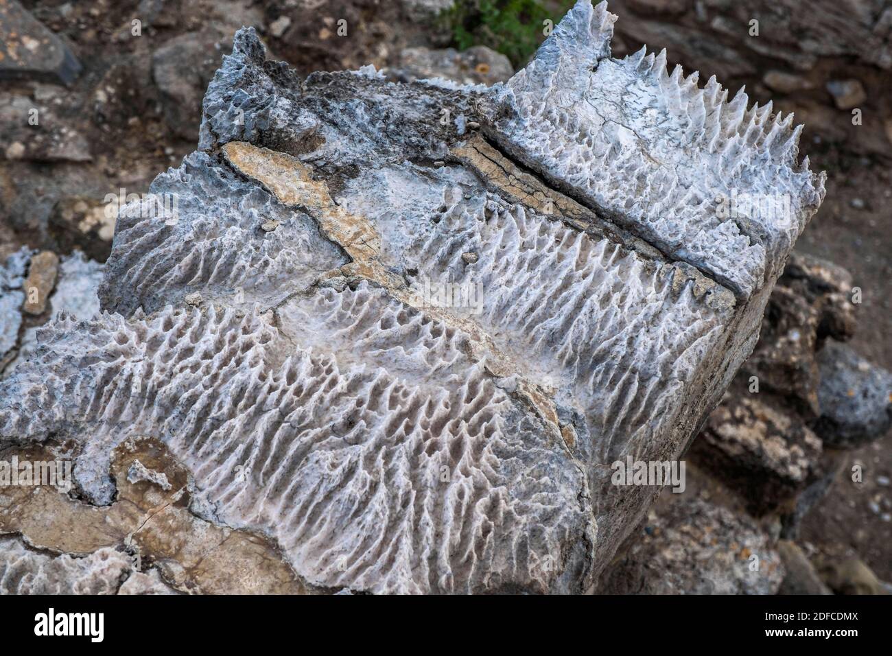 Greece, Crete, Heraklion, archeological site of Cnossos, King Minos ...