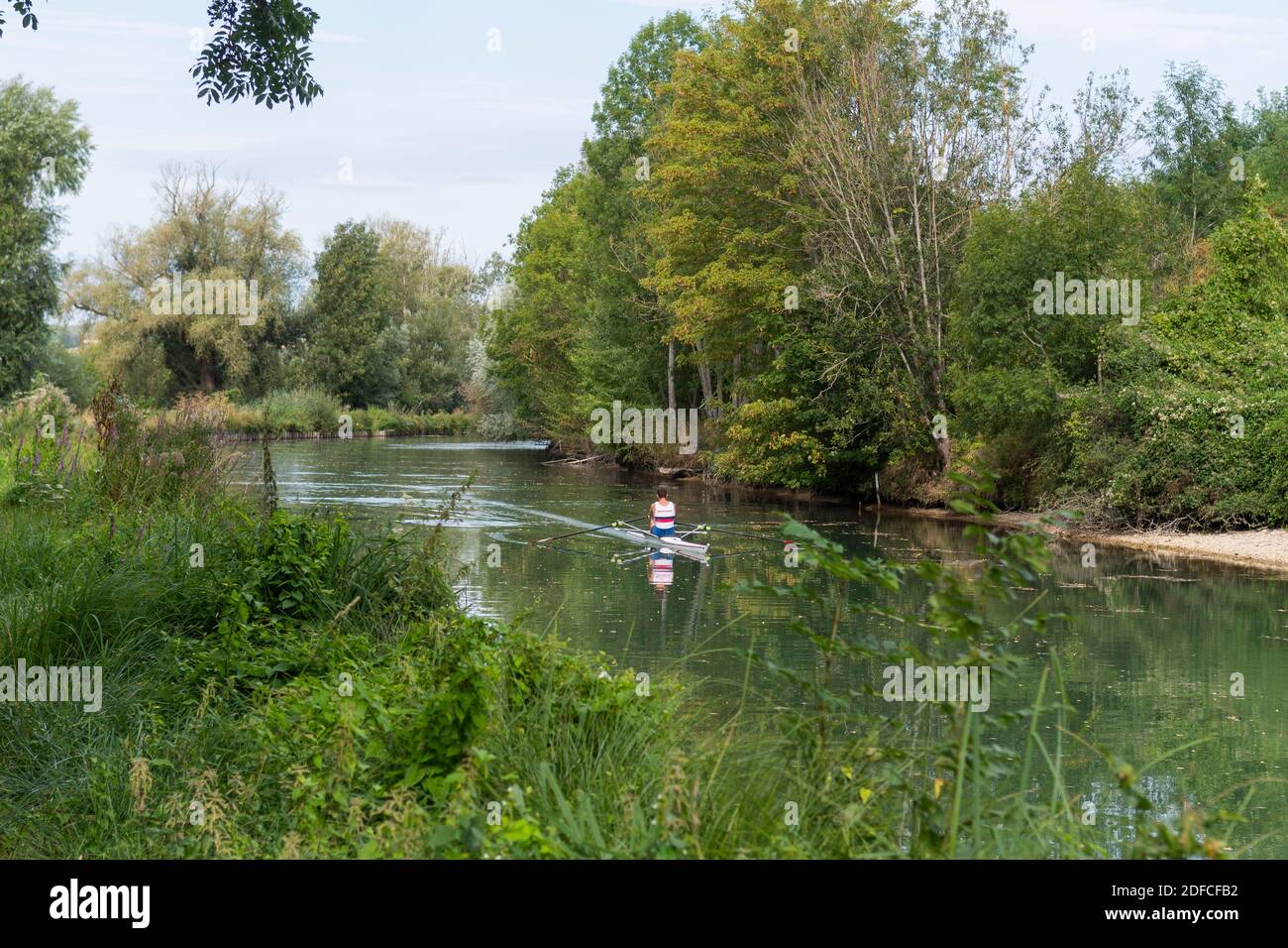 France, Meuse, Meuse river southern of Verdun, area of Belleray Stock ...
