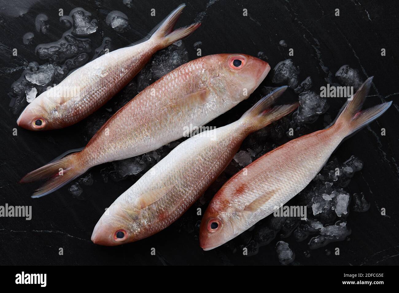 Mullet top hi-res stock photography and images - Alamy