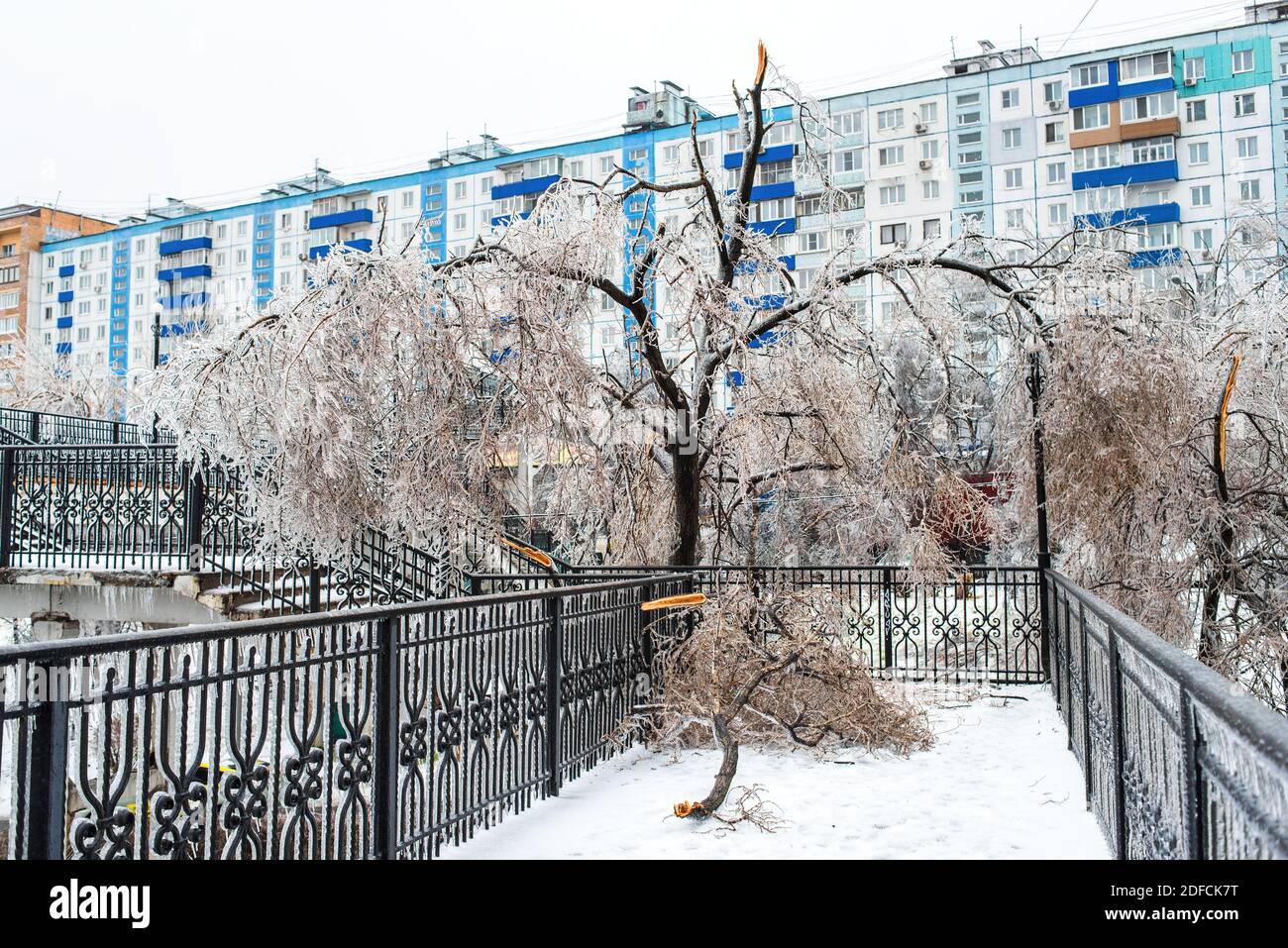 Fallen tree branches hi-res stock photography and images - Alamy