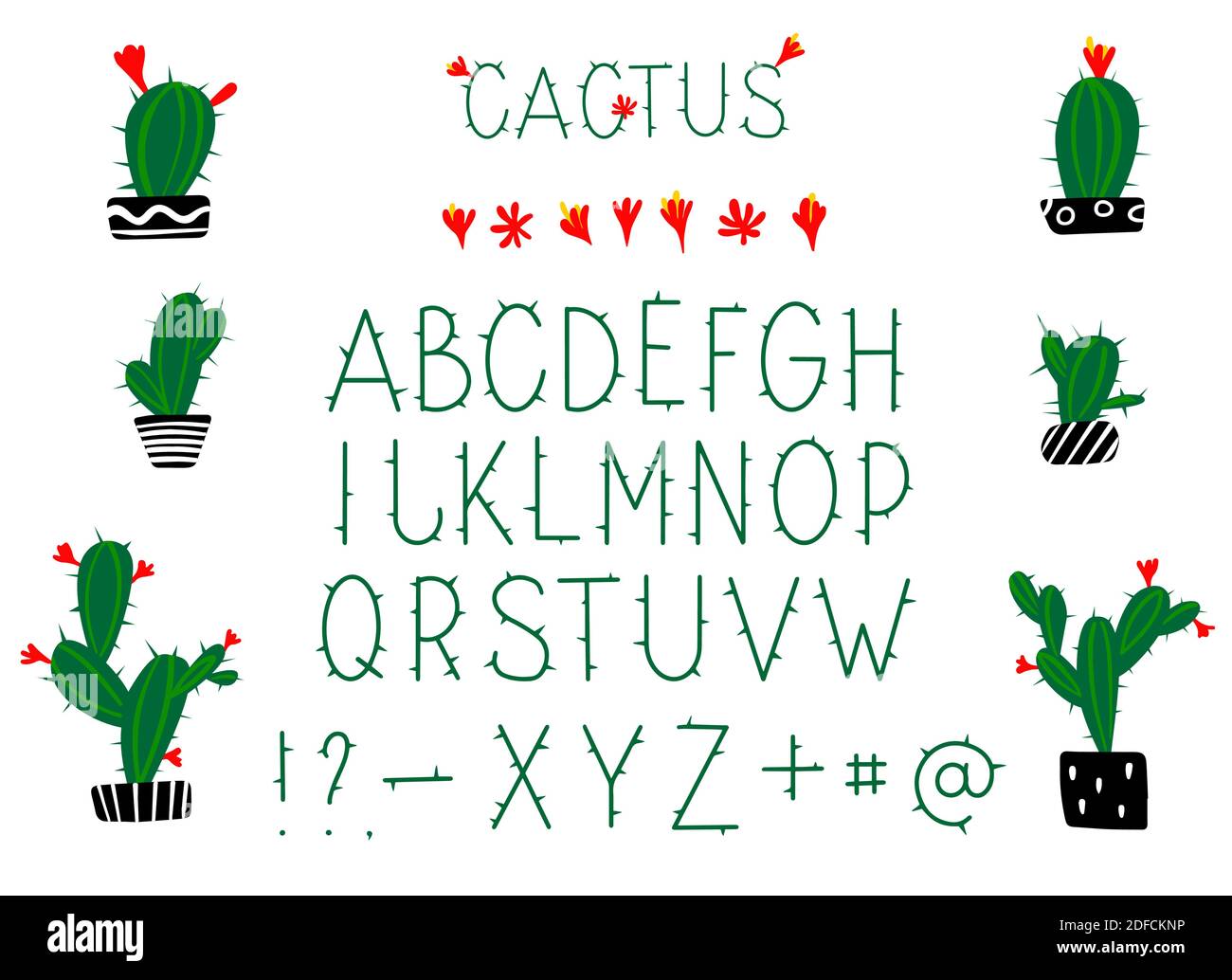 Latin alphabet green prickly cactus with blooming flowers. English ...