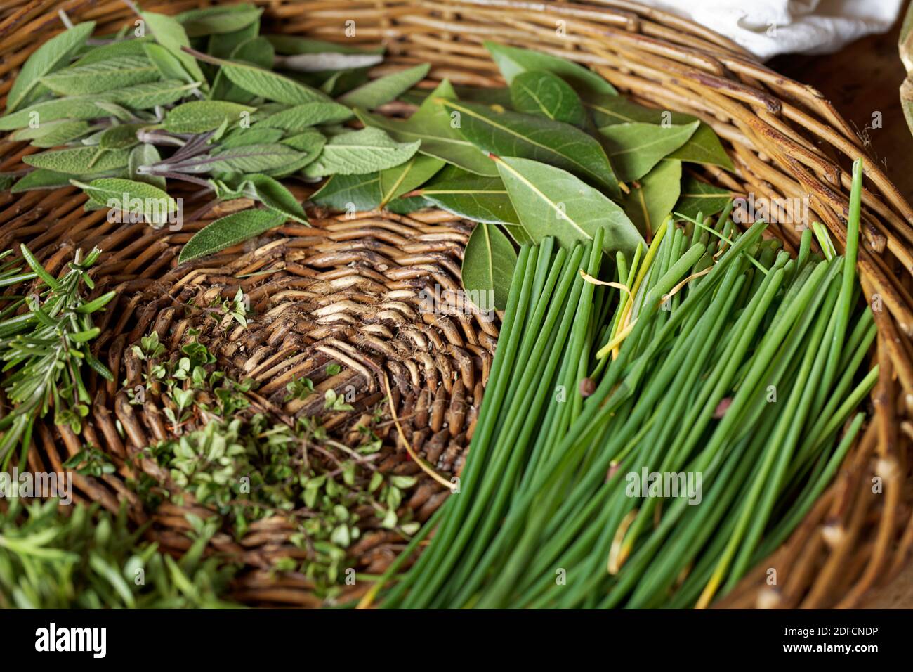Basket lifestyle hi-res stock photography and images - Alamy