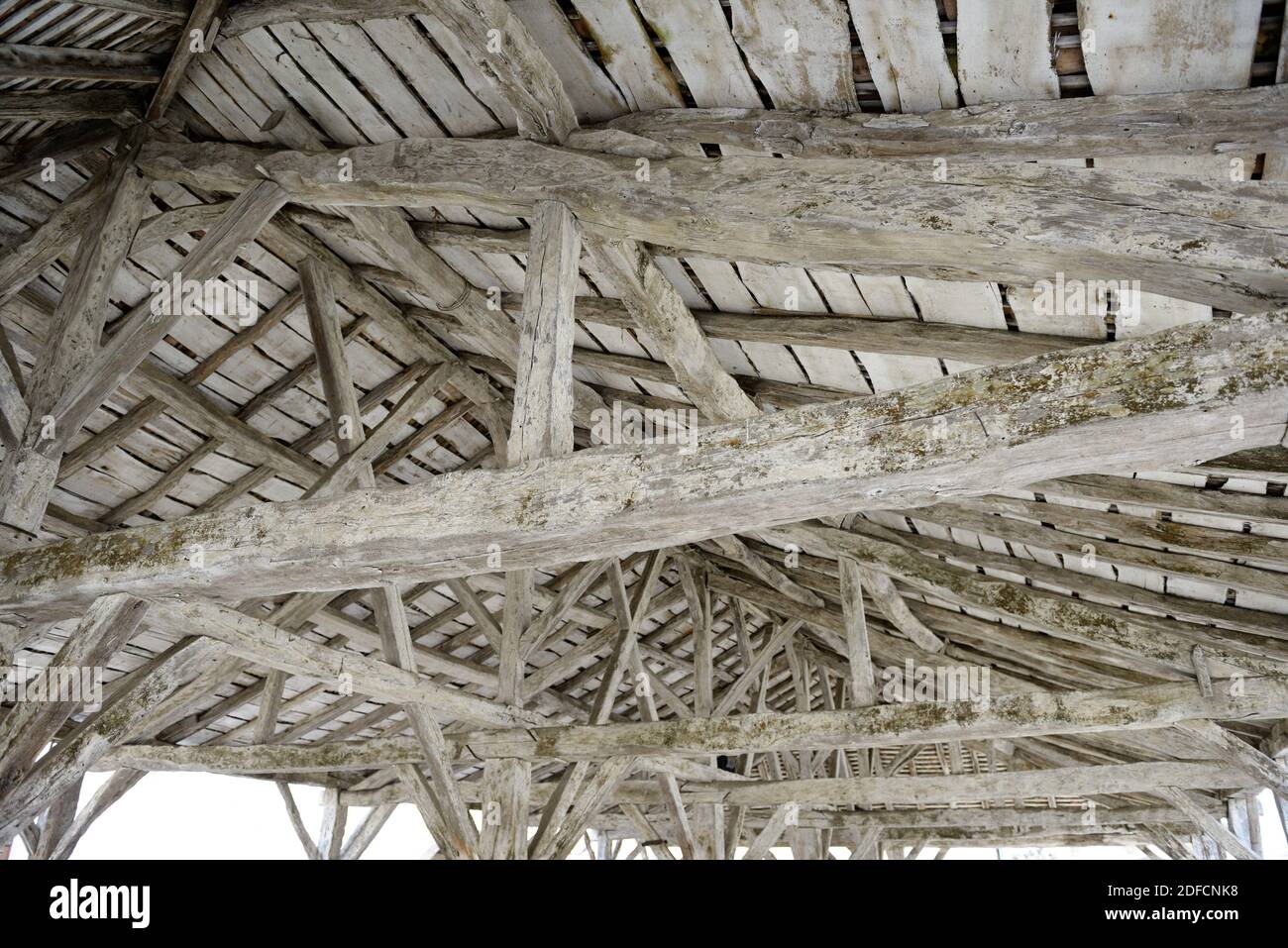 Impressive ancient, medieval roof woodwork in southwestern France ...