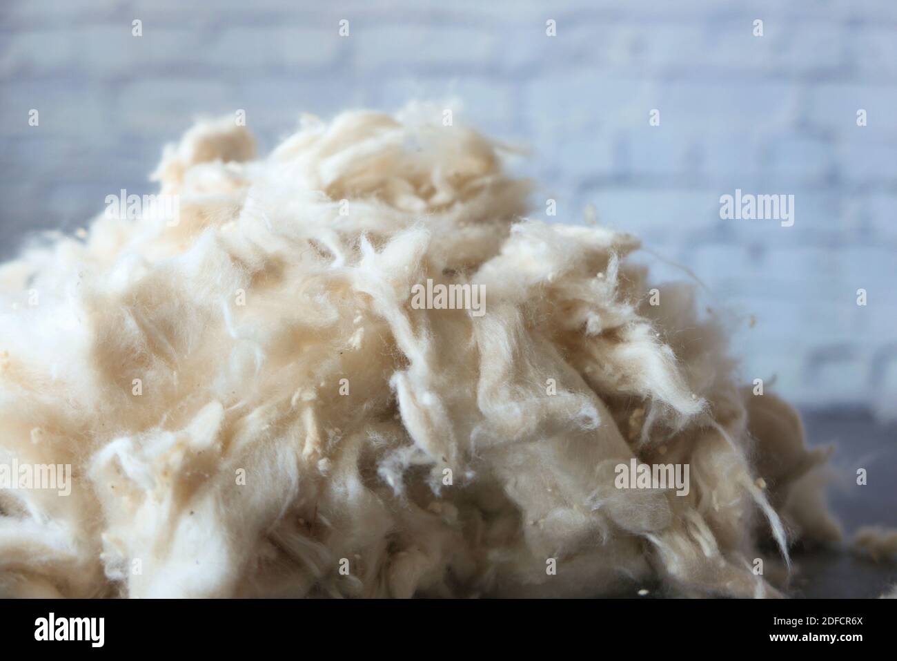 Tufts of cotton hi-res stock photography and images - Alamy