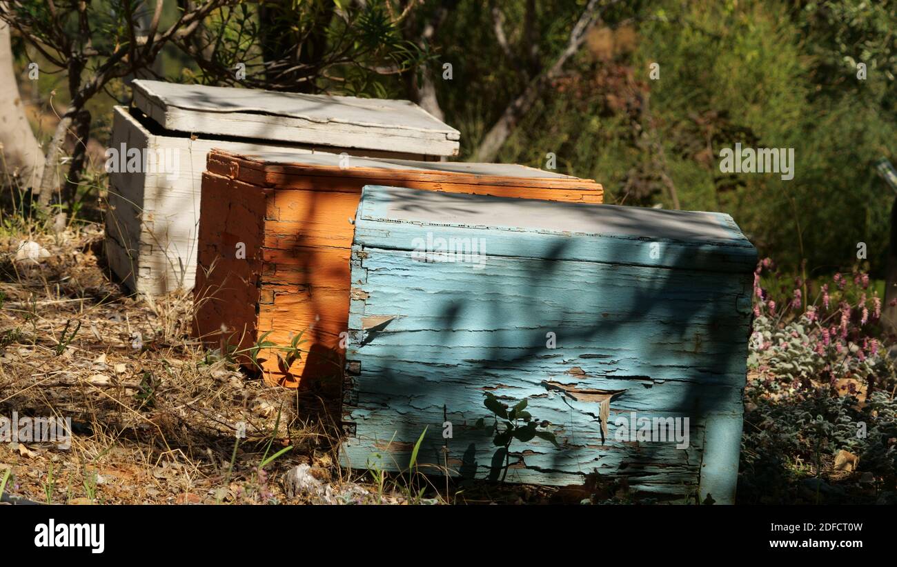 Beehive on the three hi-res stock photography and images - Alamy