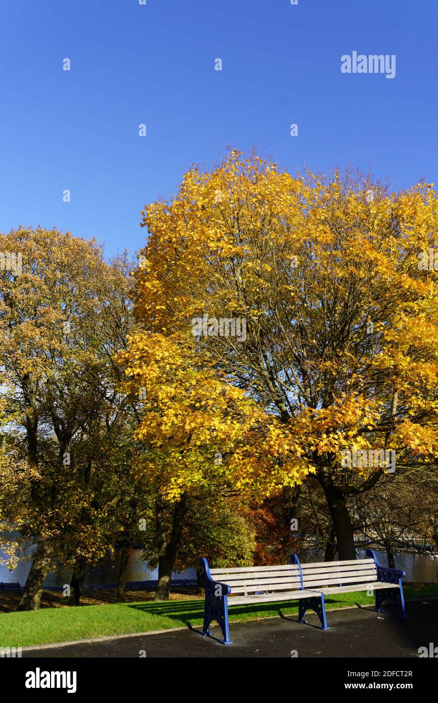 Lister park bradford hi-res stock photography and images - Alamy