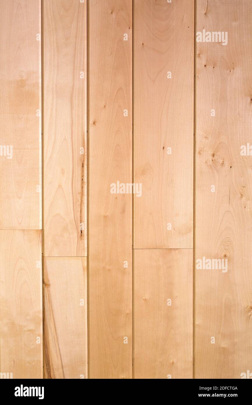 BIRCH CLADDING, BETULA Stock Photo - Alamy