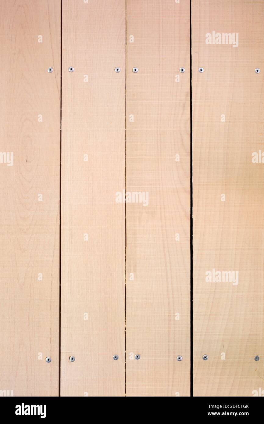 BEECH CLADDING, FAGUS SYLVATICA Stock Photo - Alamy