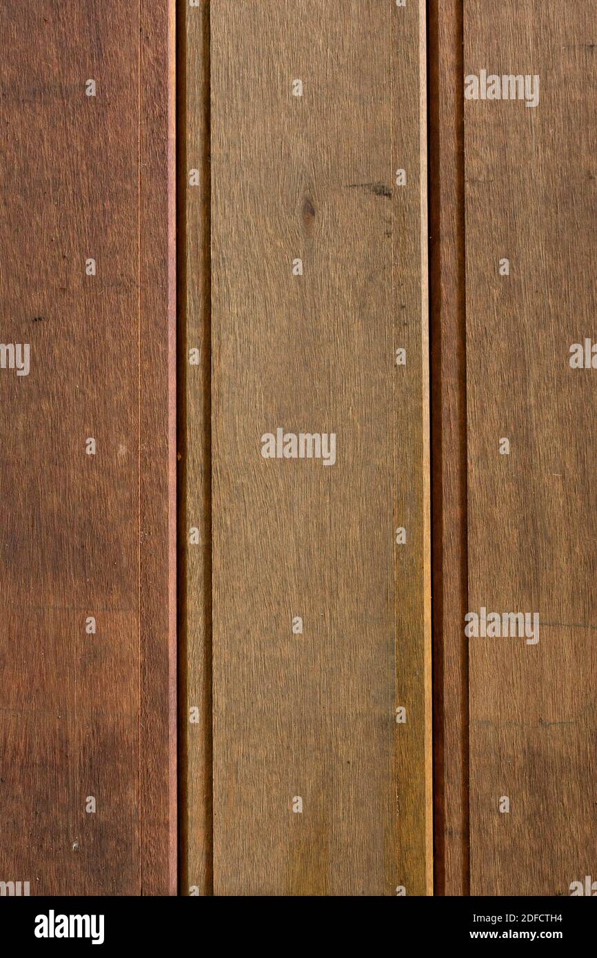 KAPUR, DRYOBALANOPS SPP // KAPUR, DRYOBALANOPS // KAPUR, DRYOBALANOPS ...