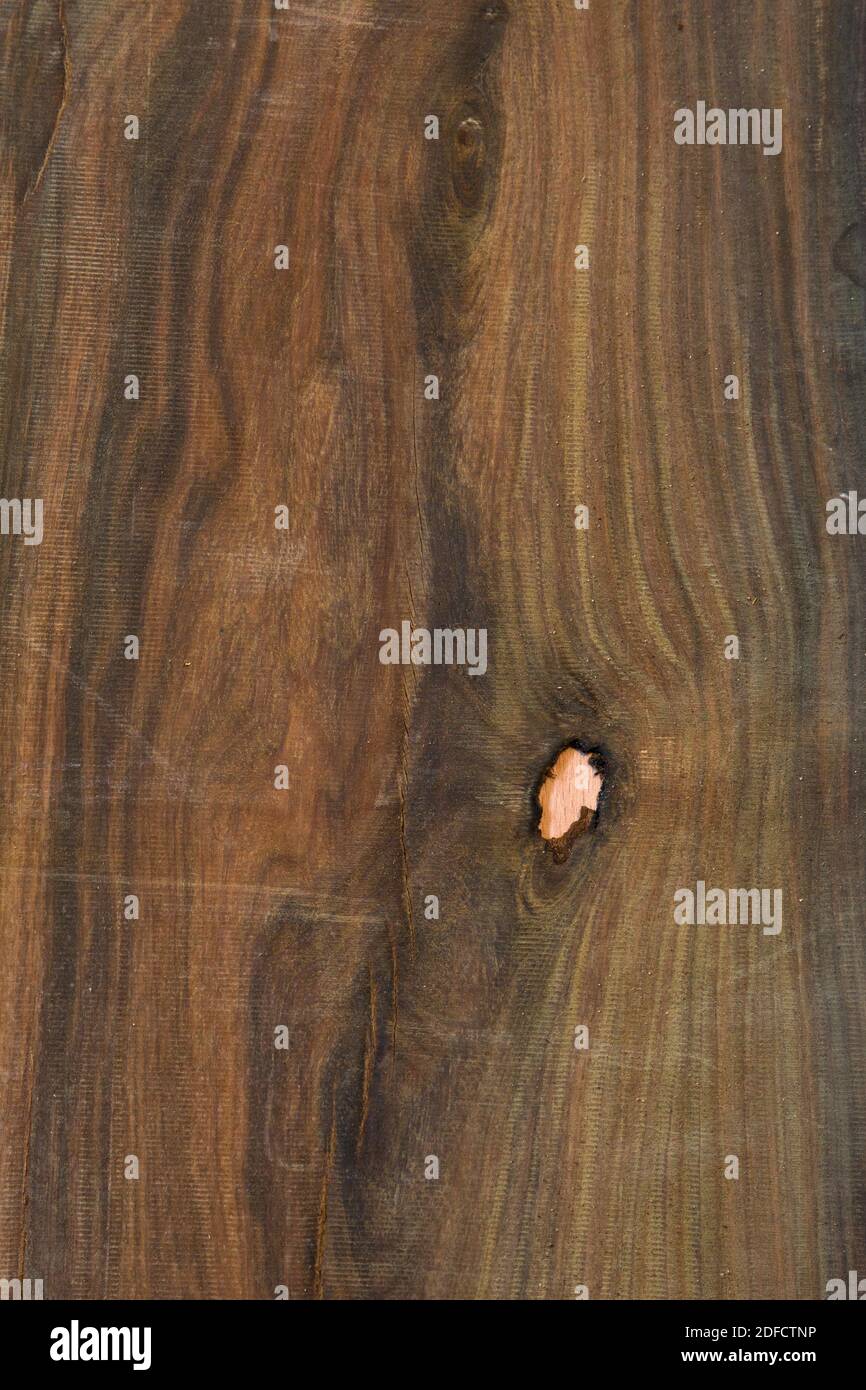 Lignum vitae hi-res stock photography and images - Alamy