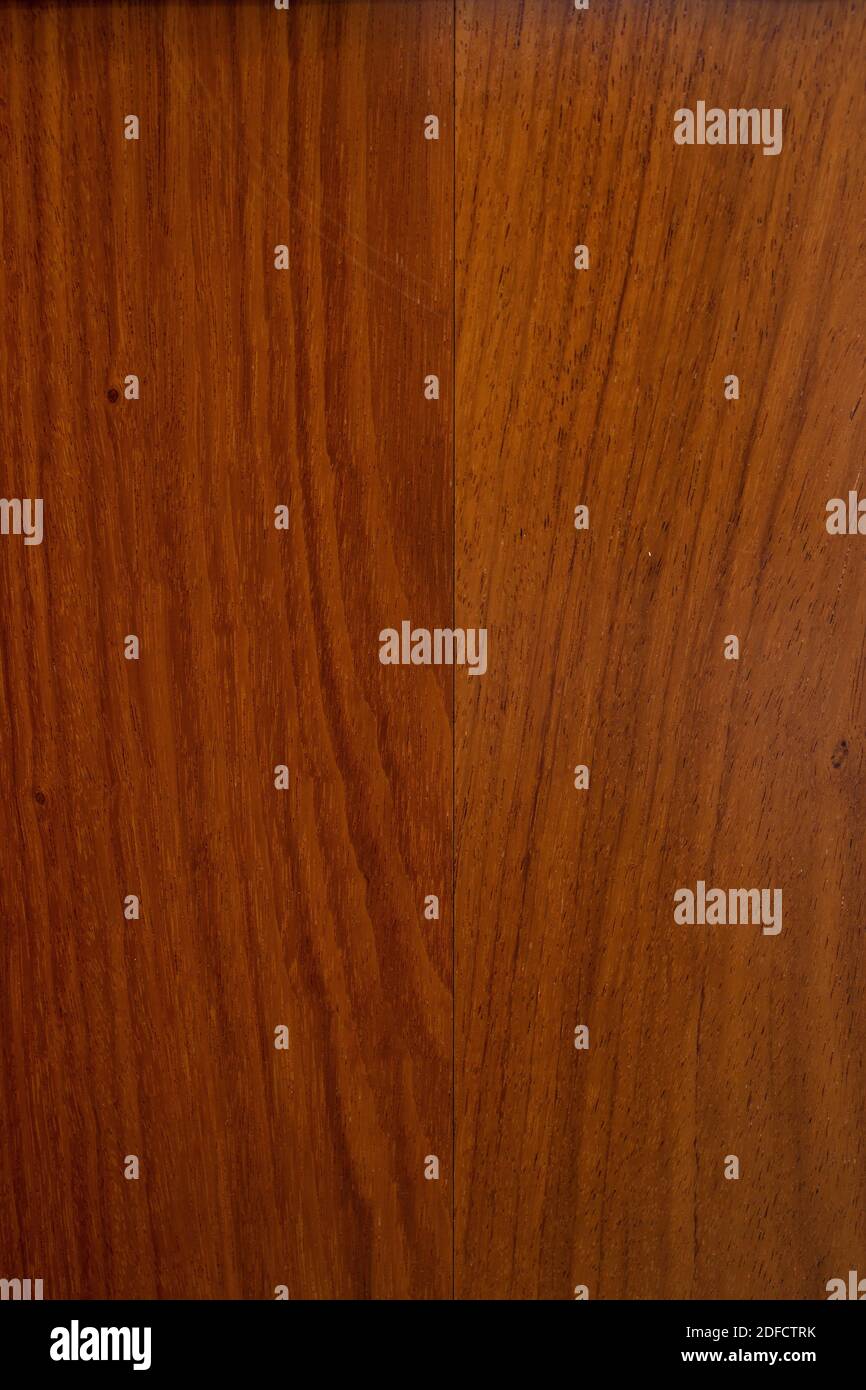 African mahogany tree hi-res stock photography and images - Alamy