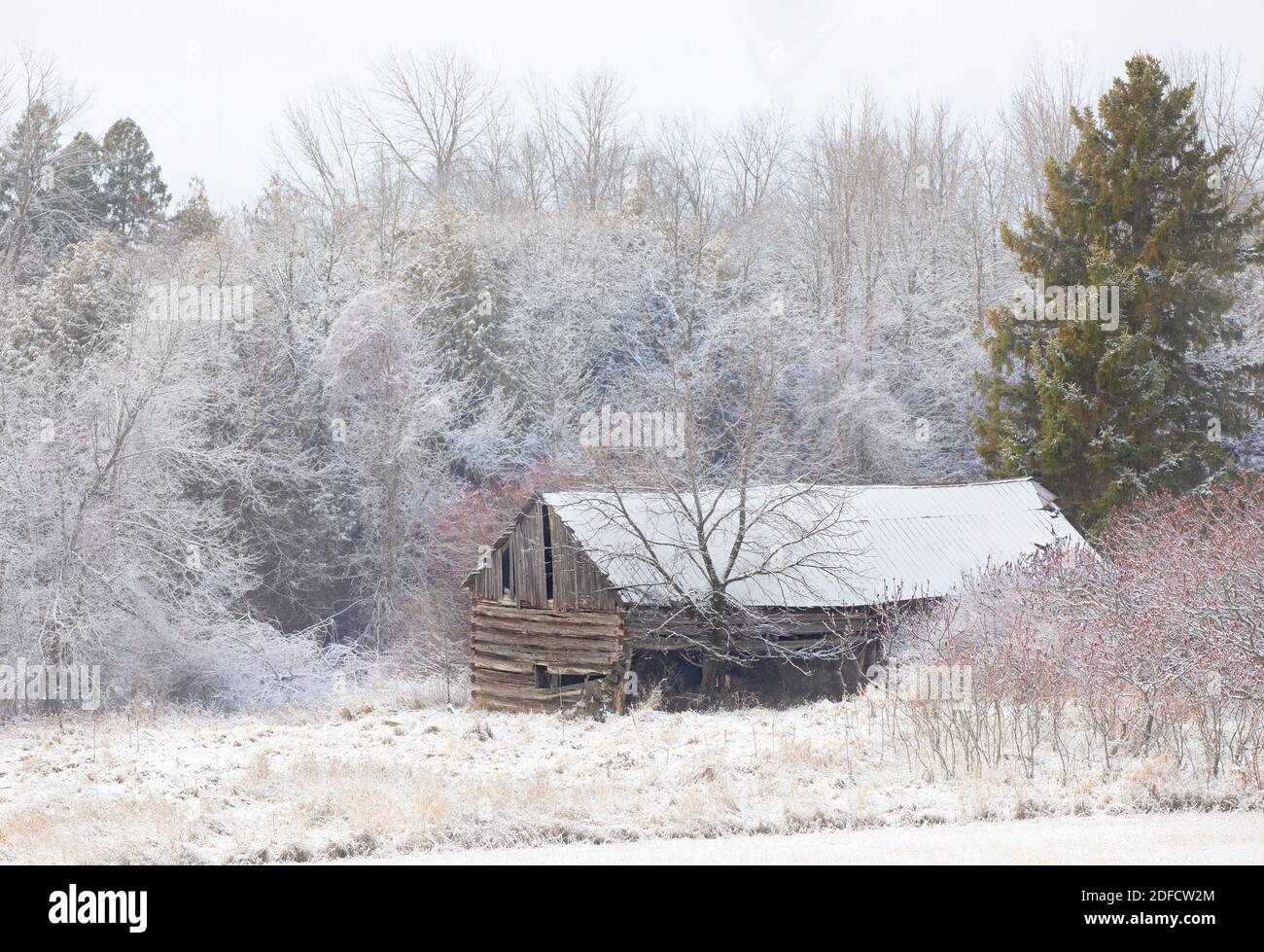 Old run down shack on hi-res stock photography and images - Alamy
