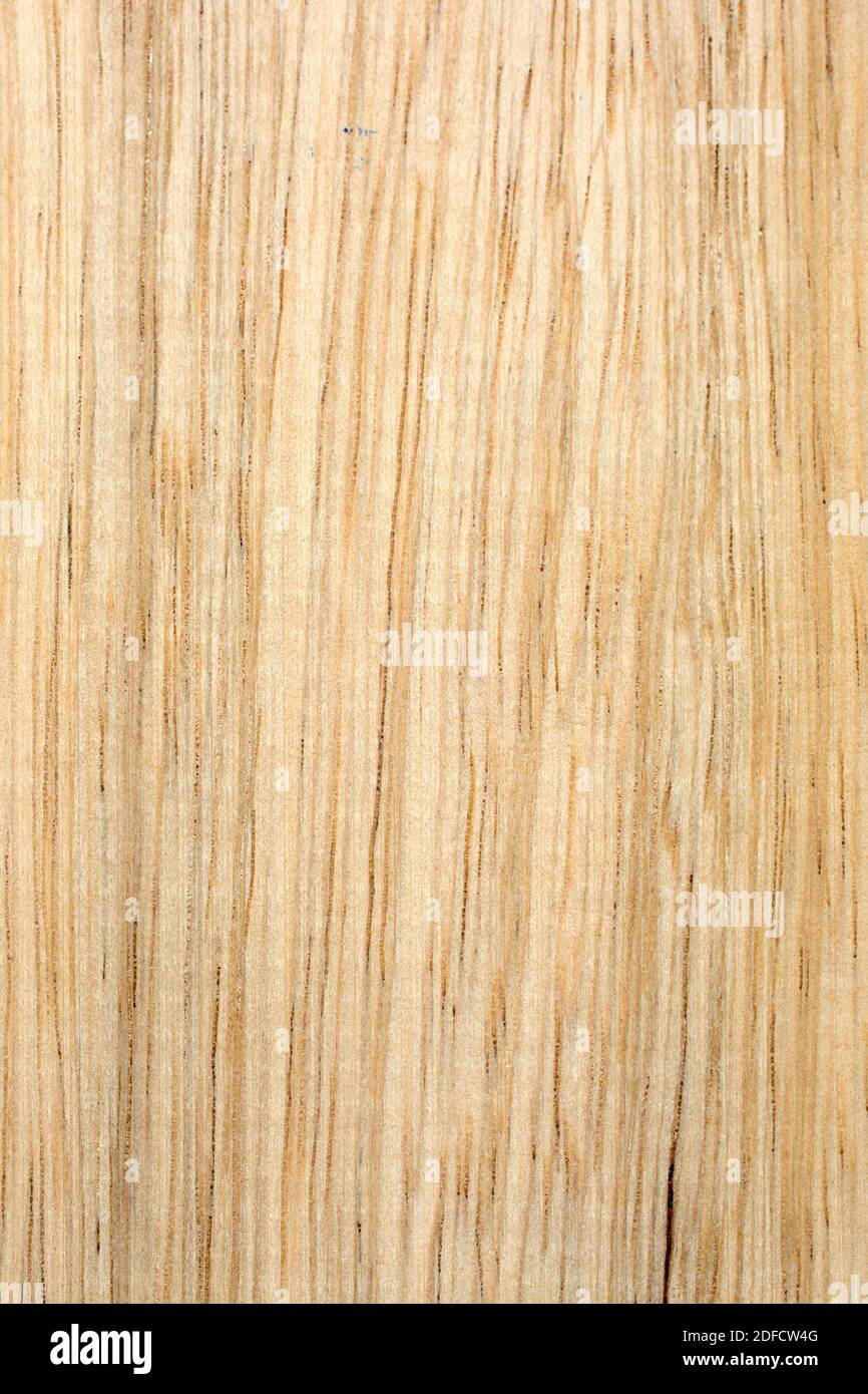 Frake hi-res stock photography and images - Alamy