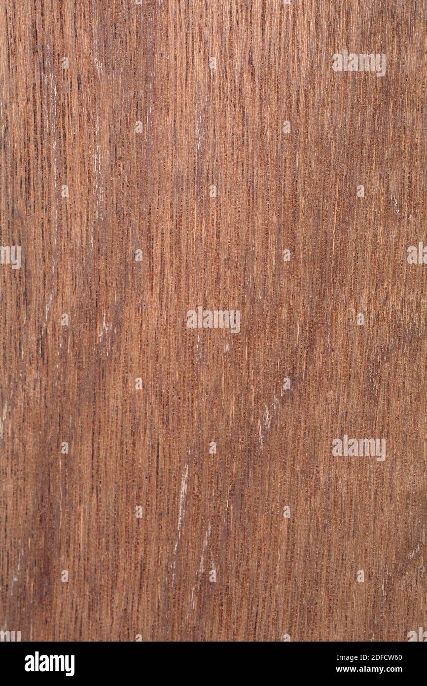 Dark red meranti hi-res stock photography and images - Alamy