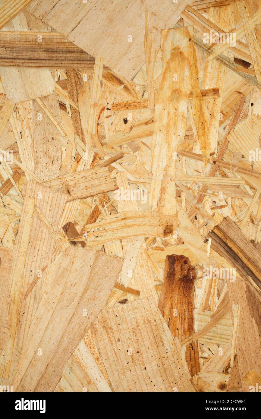 WOOD-BASED PANEL, OSB, TRIPLY Stock Photo - Alamy
