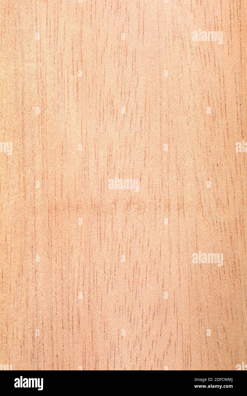 Virola hi-res stock photography and images - Alamy