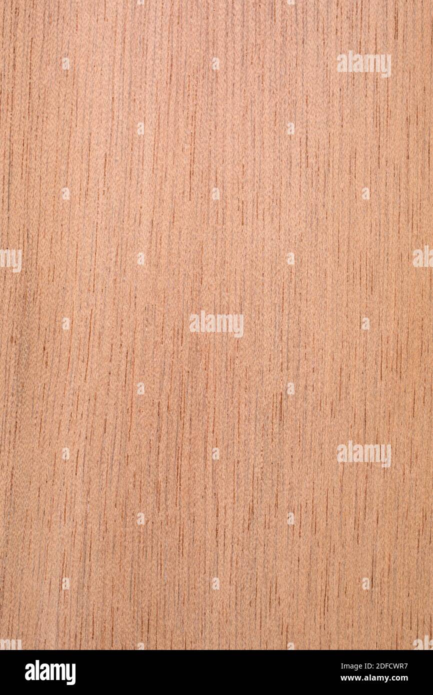 OKOUME, AUCOUMEA KLAINEANA Stock Photo - Alamy