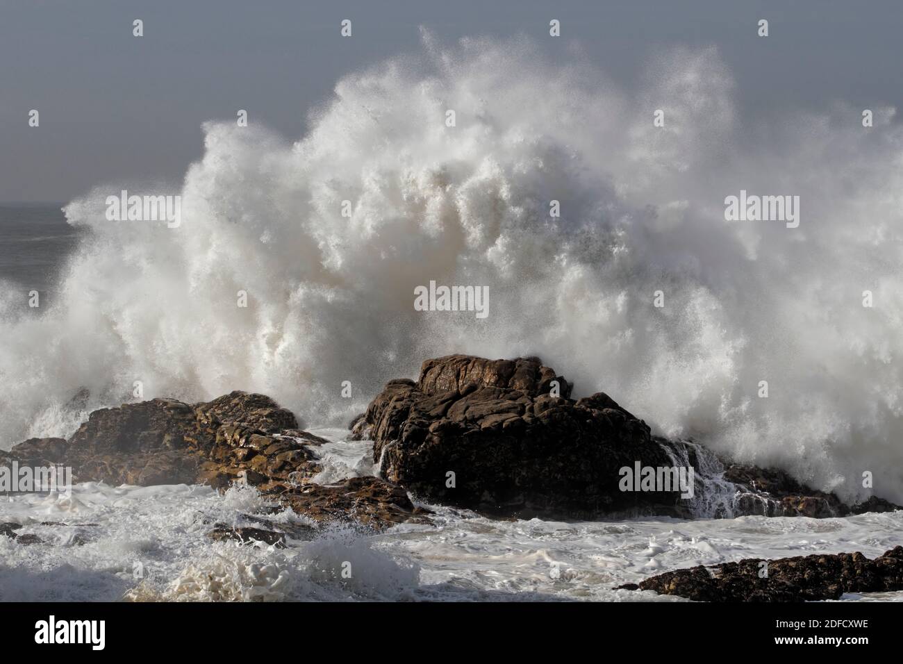 Big stormy wave splash. Northern portuguese rocky coast Stock Photo - Alamy