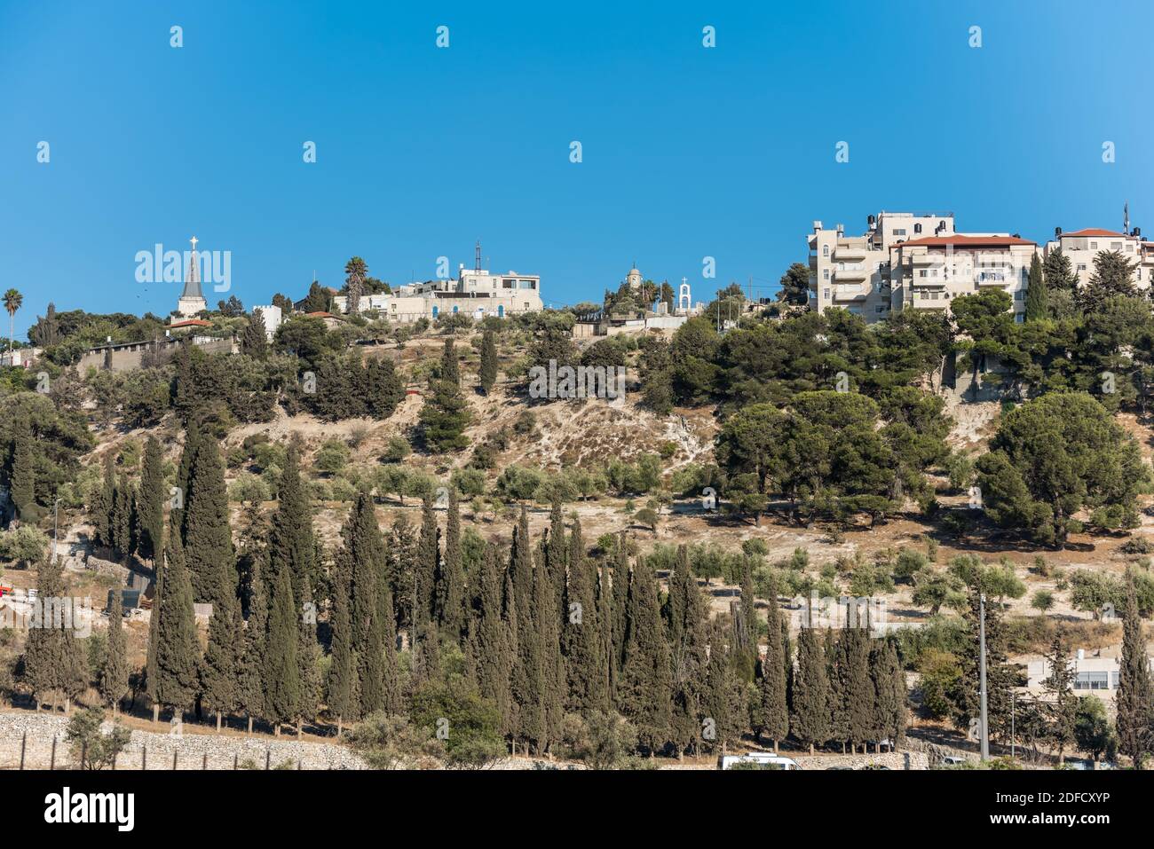 Olive tree israel valley hi-res stock photography and images - Alamy