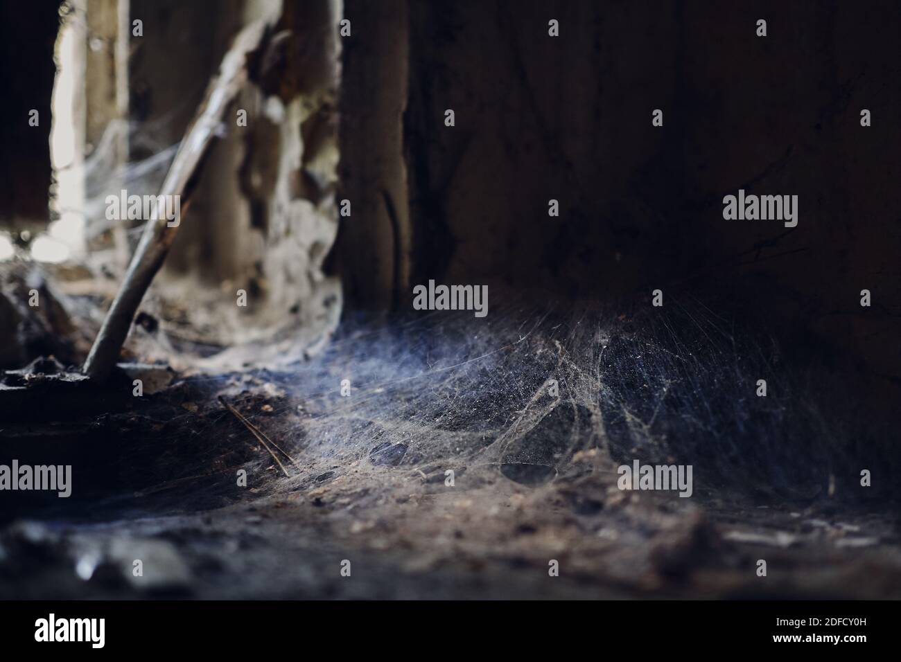 A closeup of a pile of dust with spider web in the corner of an ...