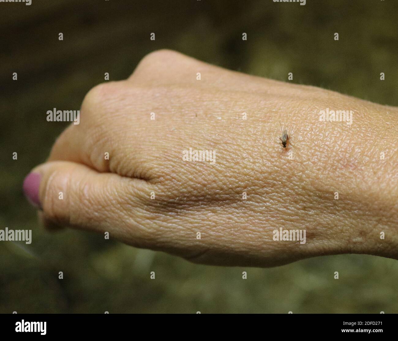 Bite hi-res stock photography and images - Alamy