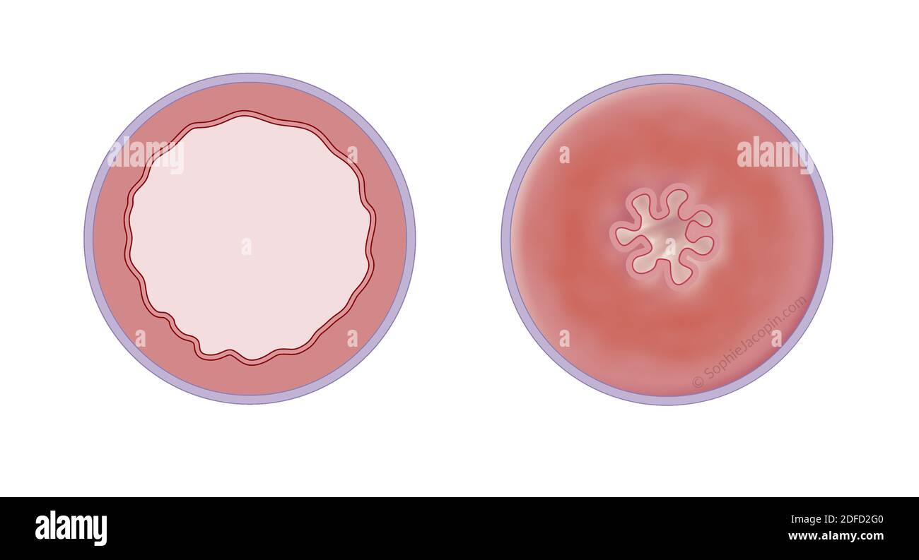 Paediatrics Cut Out Stock Images & Pictures - Alamy