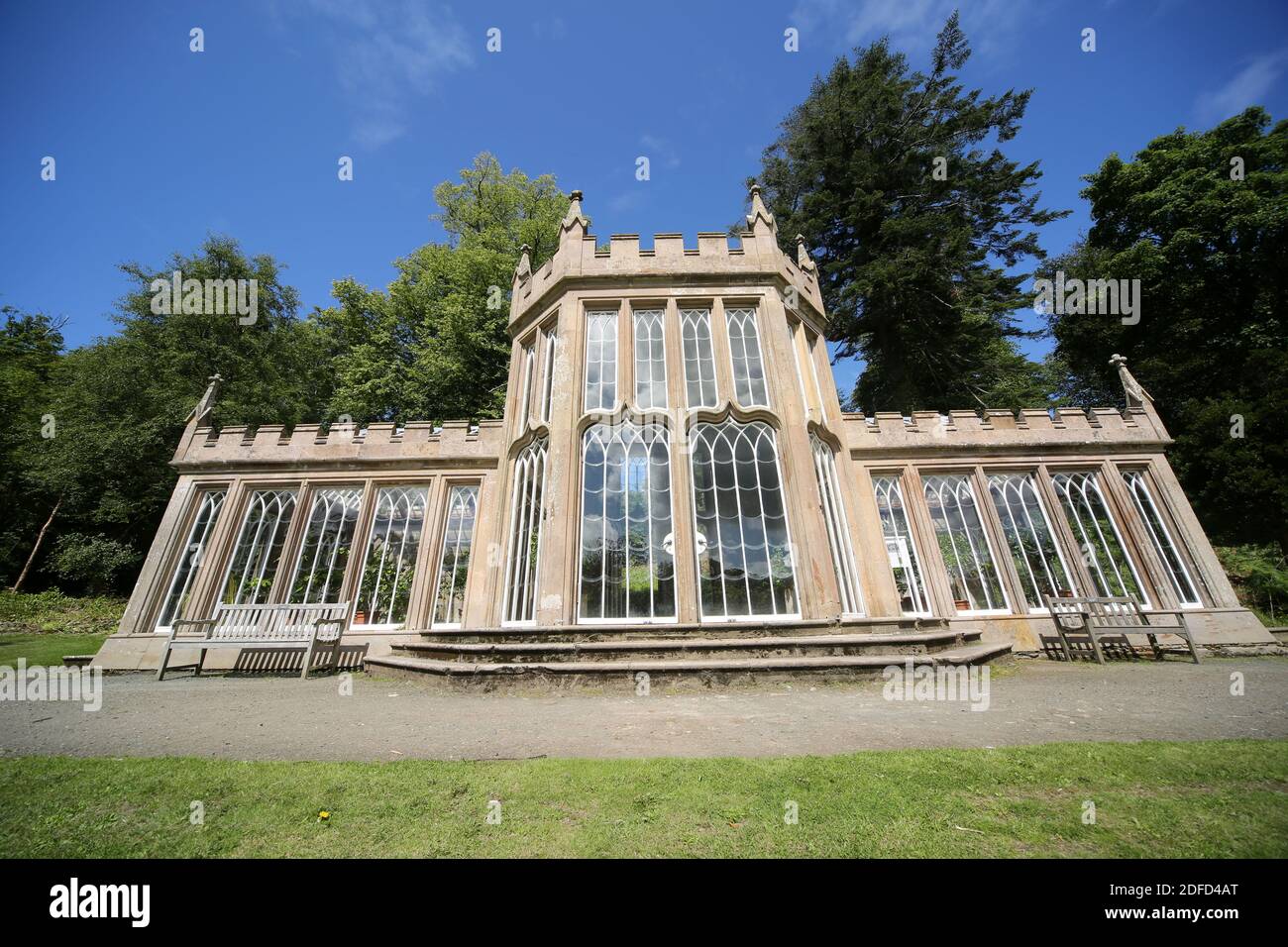 Scotland, Ayrshire,Culzean Castle& grounds 12 Apr 2021. The Camellia ...