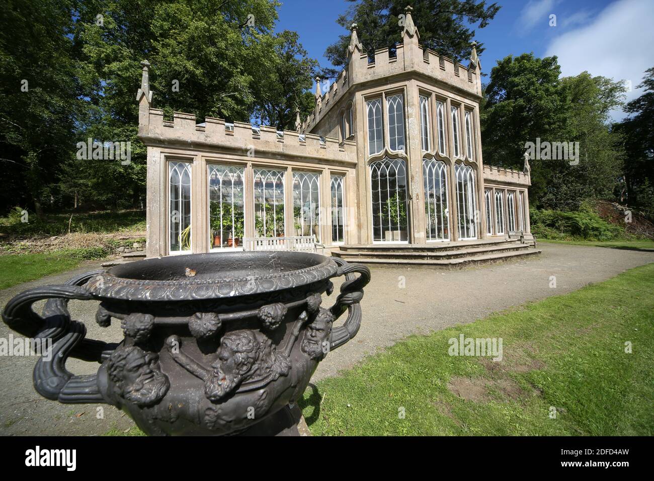 Scotland, Ayrshire,Culzean Castle& grounds 12 Apr 2021. The Camellia ...