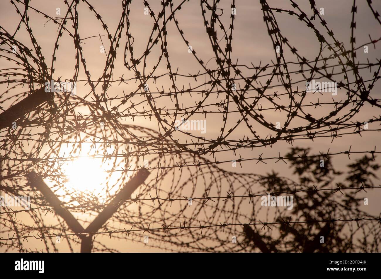 Silhouette of a barbed wire fence steel jail Stock Photo - Alamy