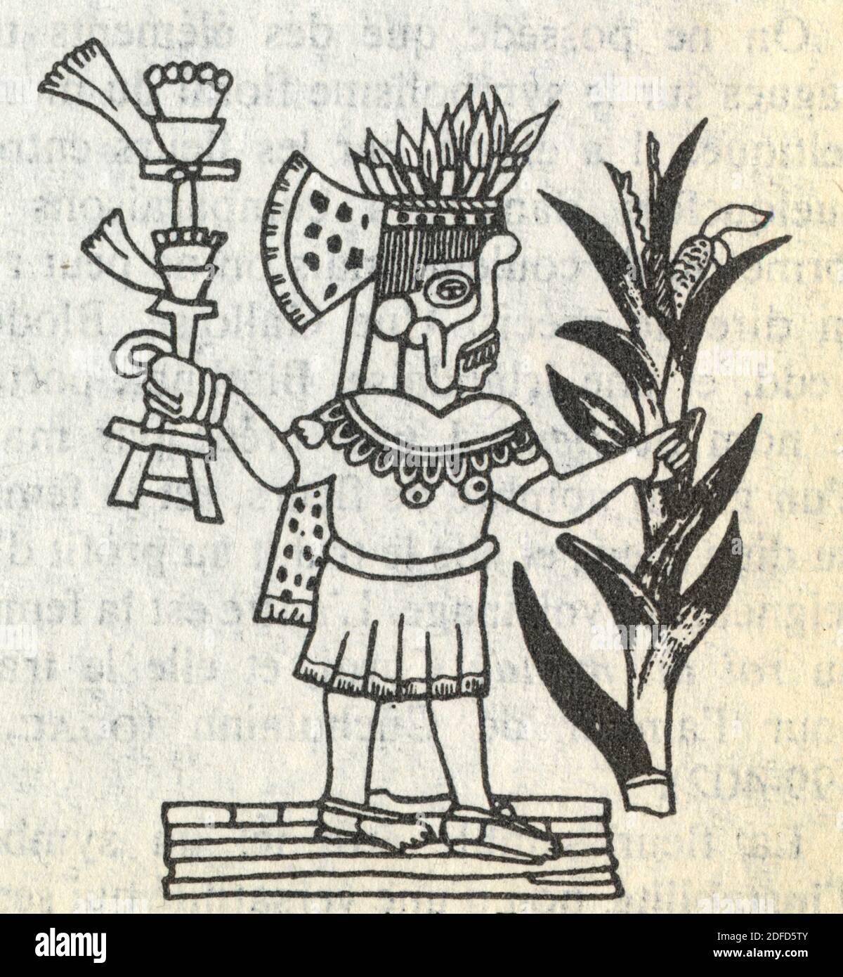 Fleur. Art méxicain. Fragment de la planche n° 34 Codex Magliabechiano ...