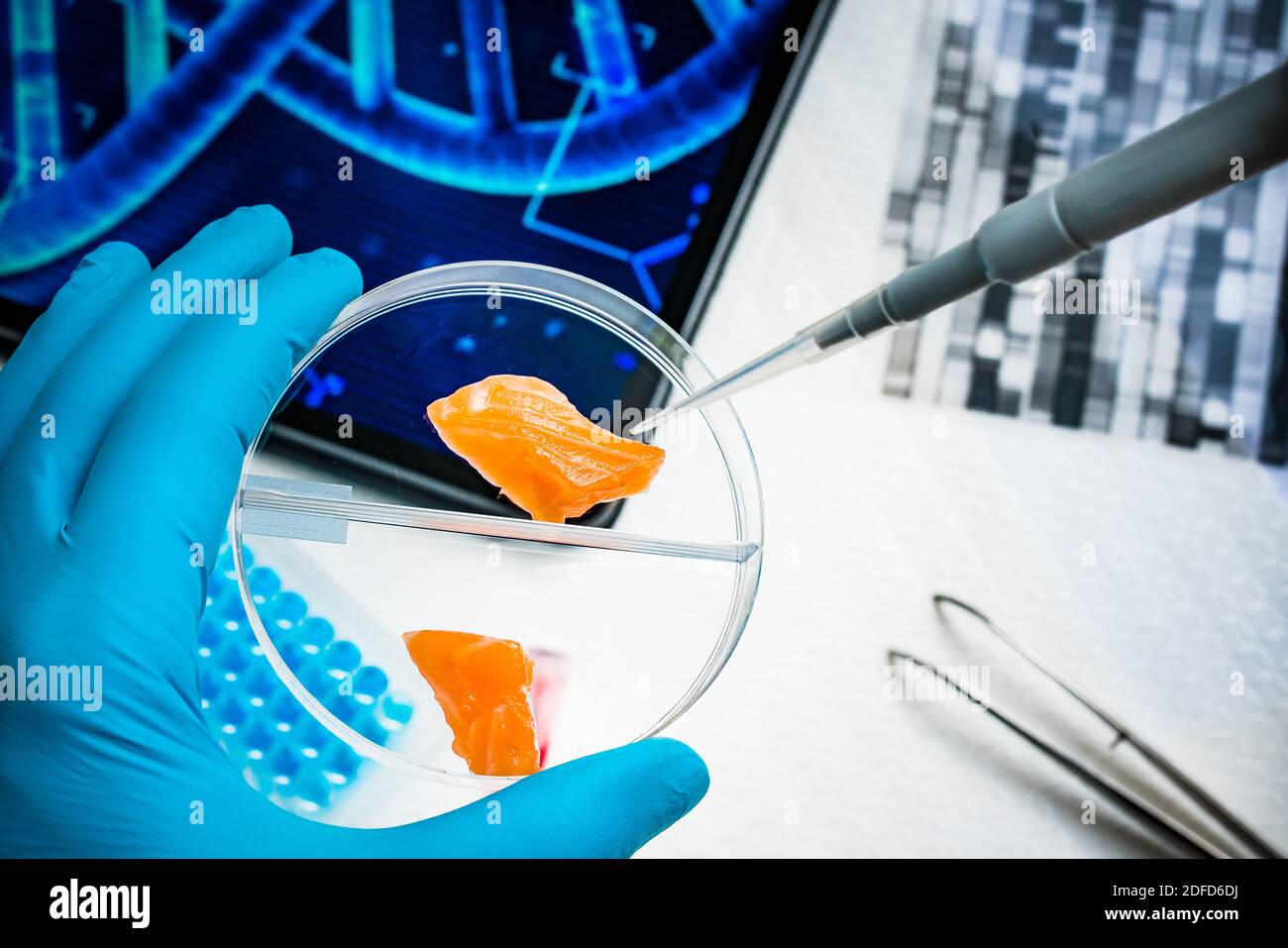 Genetically engineered fish hi-res stock photography and images - Alamy
