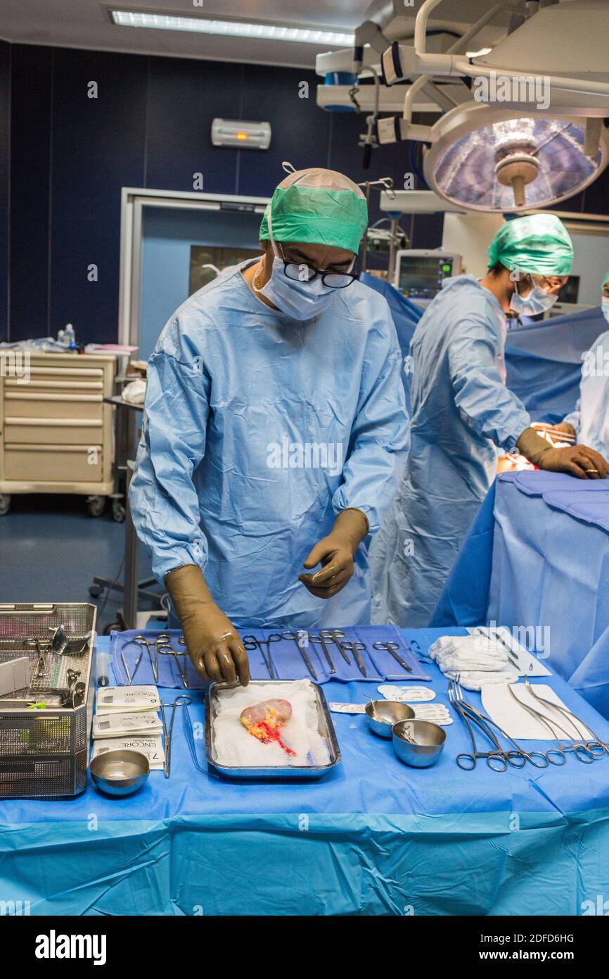 Kidney transplant operation or dialysis hi-res stock photography and ...