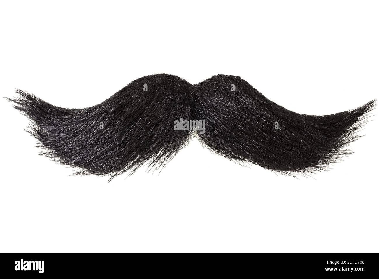 Curled moustache hi-res stock photography and images - Alamy