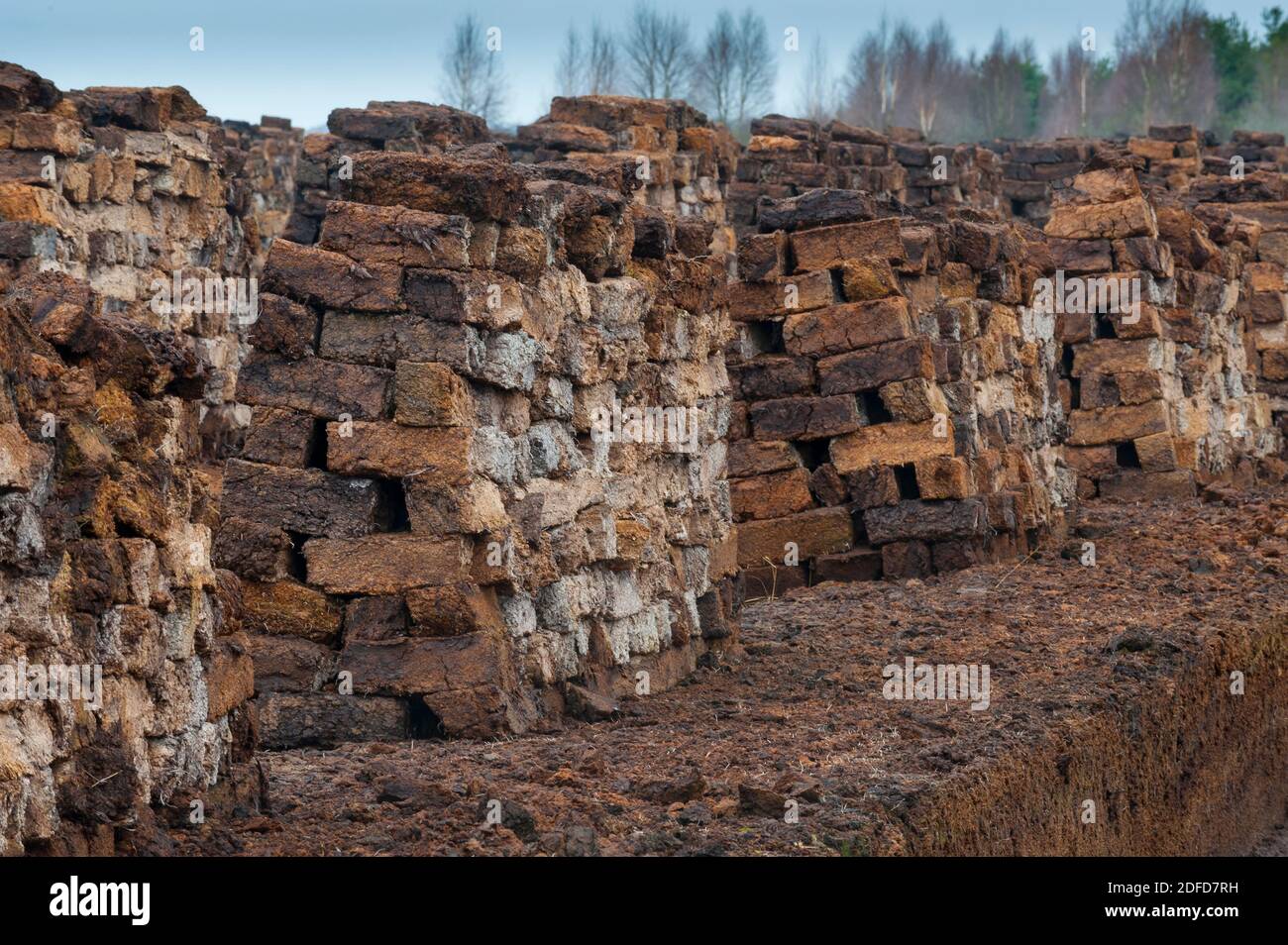 Torfsoden, Lager, Torfabbau, Goldenstedter Moor Stock Photo - Alamy