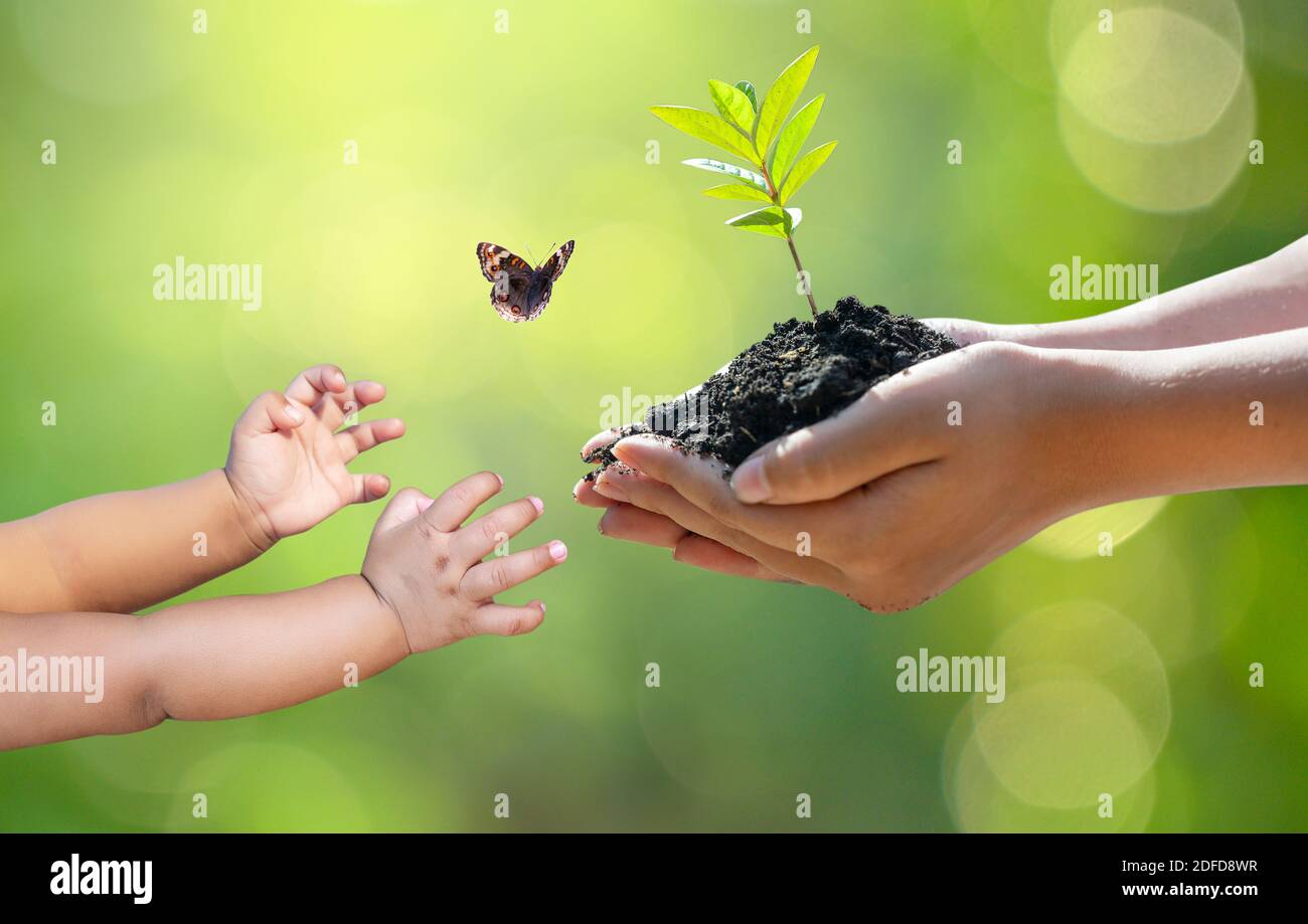 Earth globe green sustainability hi-res stock photography and images ...