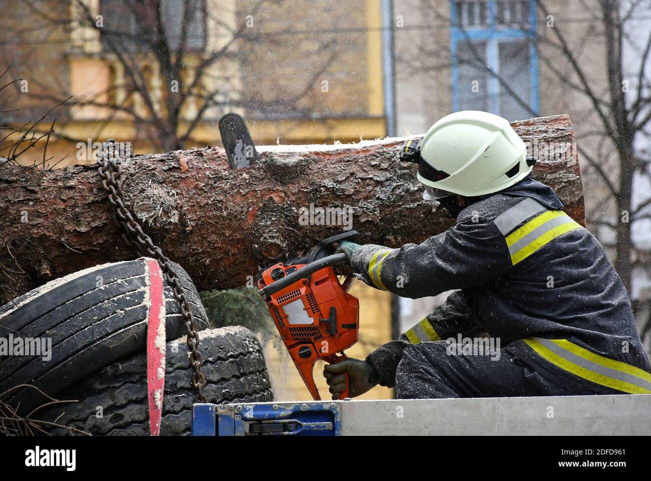 Firefighter cuts a pinetree with a chainsaw Stock Photo - Alamy