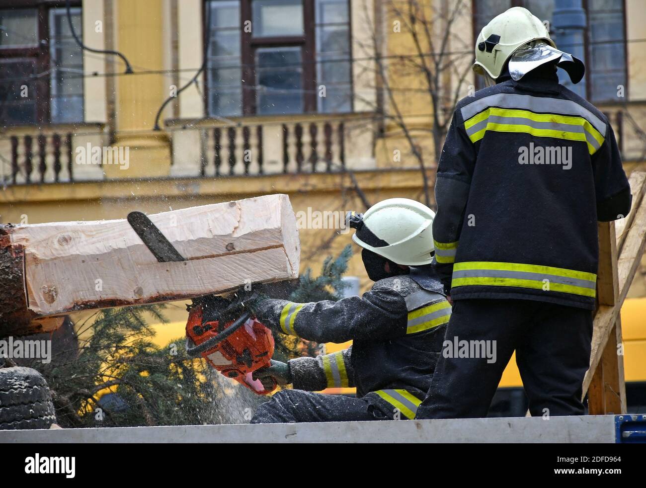 Firefighter cuts a pinetree with a chainsaw Stock Photo - Alamy
