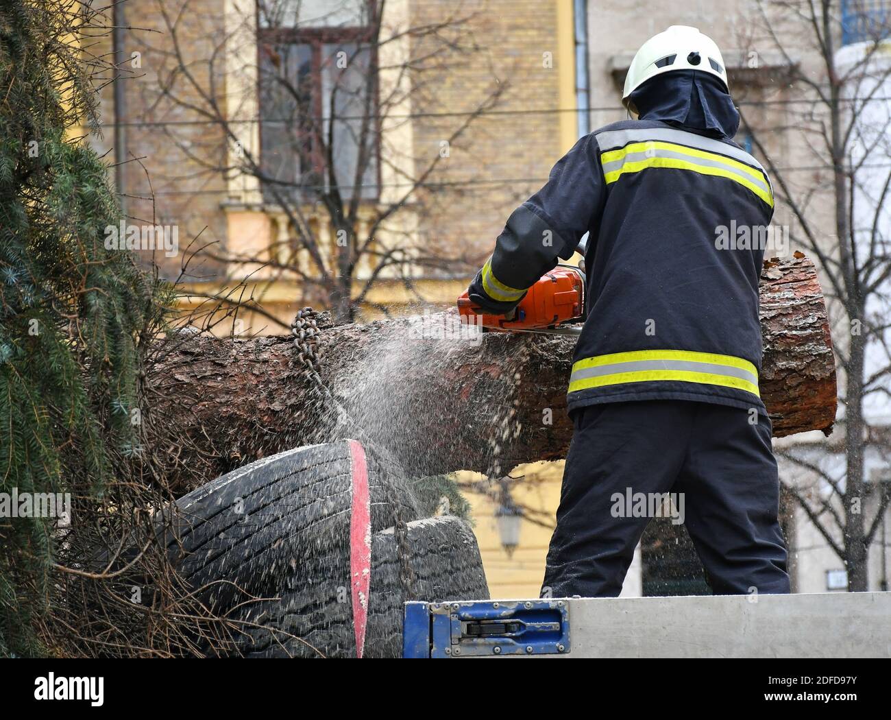 Firefighter cuts a pinetree with a chainsaw Stock Photo - Alamy
