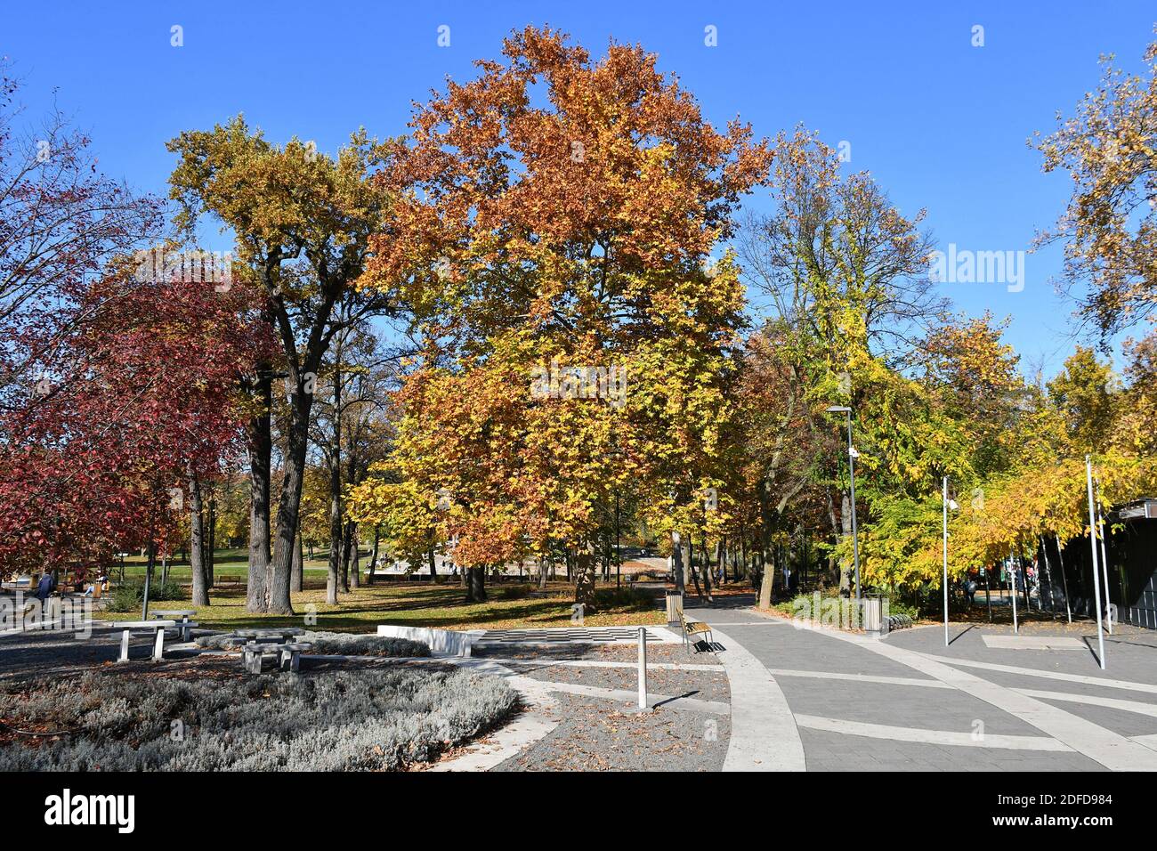 Park in the woods, Debrecen city, Hungary Stock Photo - Alamy