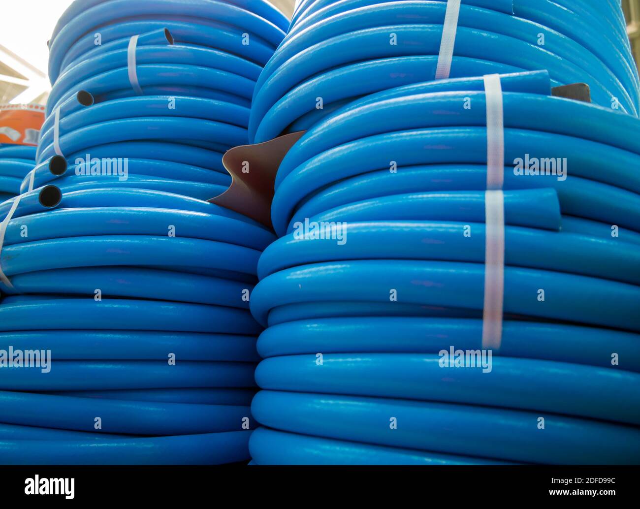 Coils with new blue watering hoses Stock Photo - Alamy